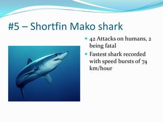 Sharks Power Point | PPTX | Fish and Aquariums | Pets