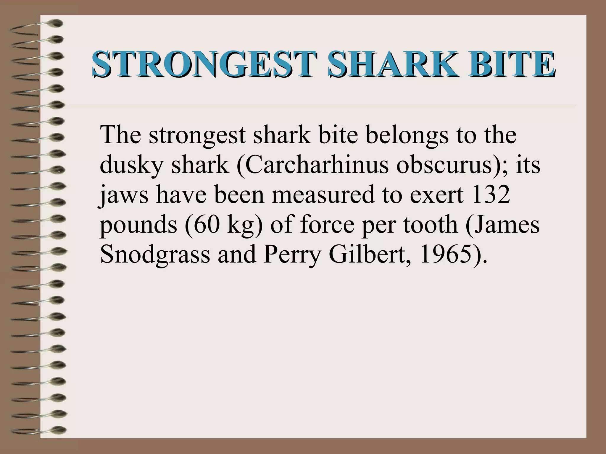 Sharks power point | PPT