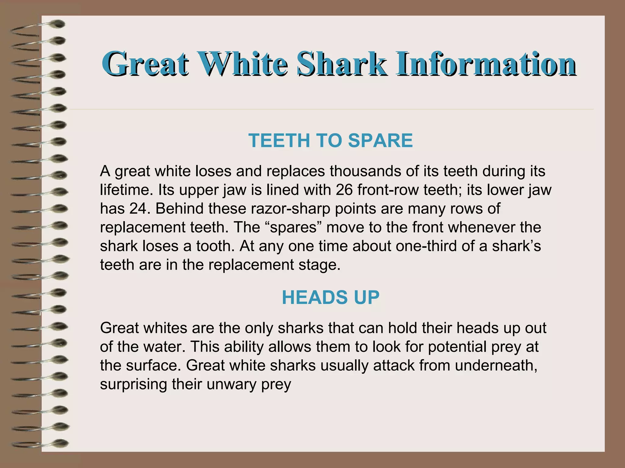 Sharks power point | PPT