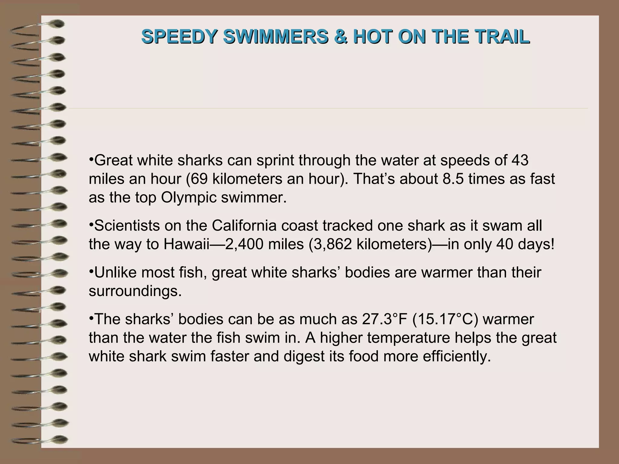 Sharks power point | PPT