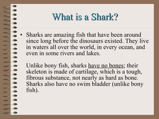 Sharks power point | PPT