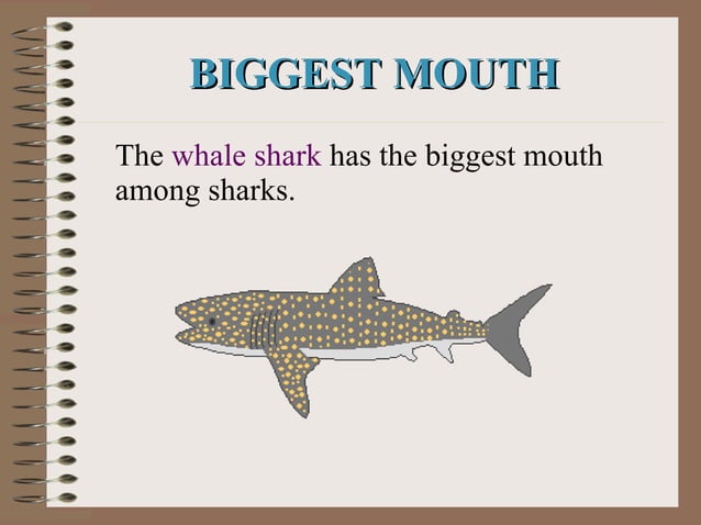 Sharks power point | PPT