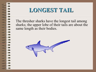 Sharks power point | PPT