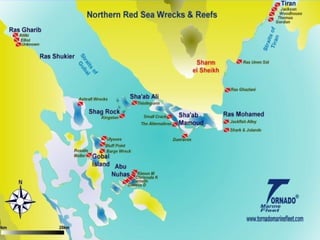 Shark & yolanda | PPT