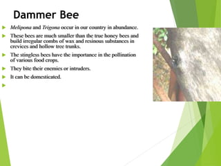 Apiculture | PPT | Beekeeping | Hobbies & Interests