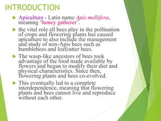 Apiculture | PPT | Beekeeping | Hobbies & Interests