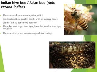 Apiculture | PPT | Beekeeping | Hobbies & Interests