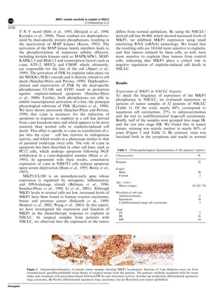 Sharmila Oncogene | PDF