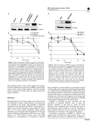 Sharmila Oncogene | PDF
