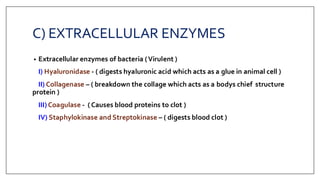 Medical Bacteriology - Virulence factors of bacteria causing human ...