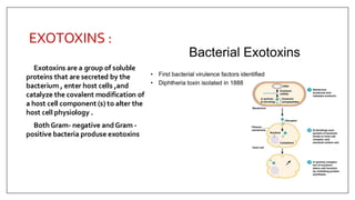 Medical Bacteriology - Virulence factors of bacteria causing human ...