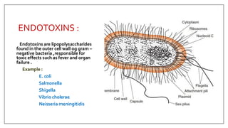 Medical Bacteriology - Virulence factors of bacteria causing human ...