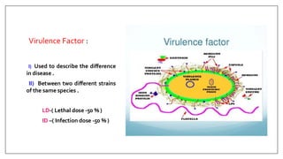 Medical Bacteriology - Virulence factors of bacteria causing human ...