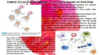 Tumor Immunology presentation by Sharmista | PPTX