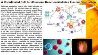 Tumor Immunology presentation by Sharmista | PPTX