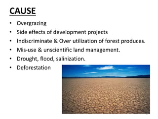 Biotechnological strategies in forestry & wasteland management | PPTX