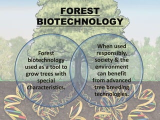 Biotechnological strategies in forestry & wasteland management | PPTX