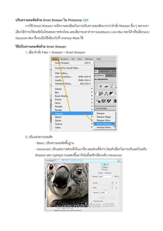 Sharpen Ps CS5 | PDF