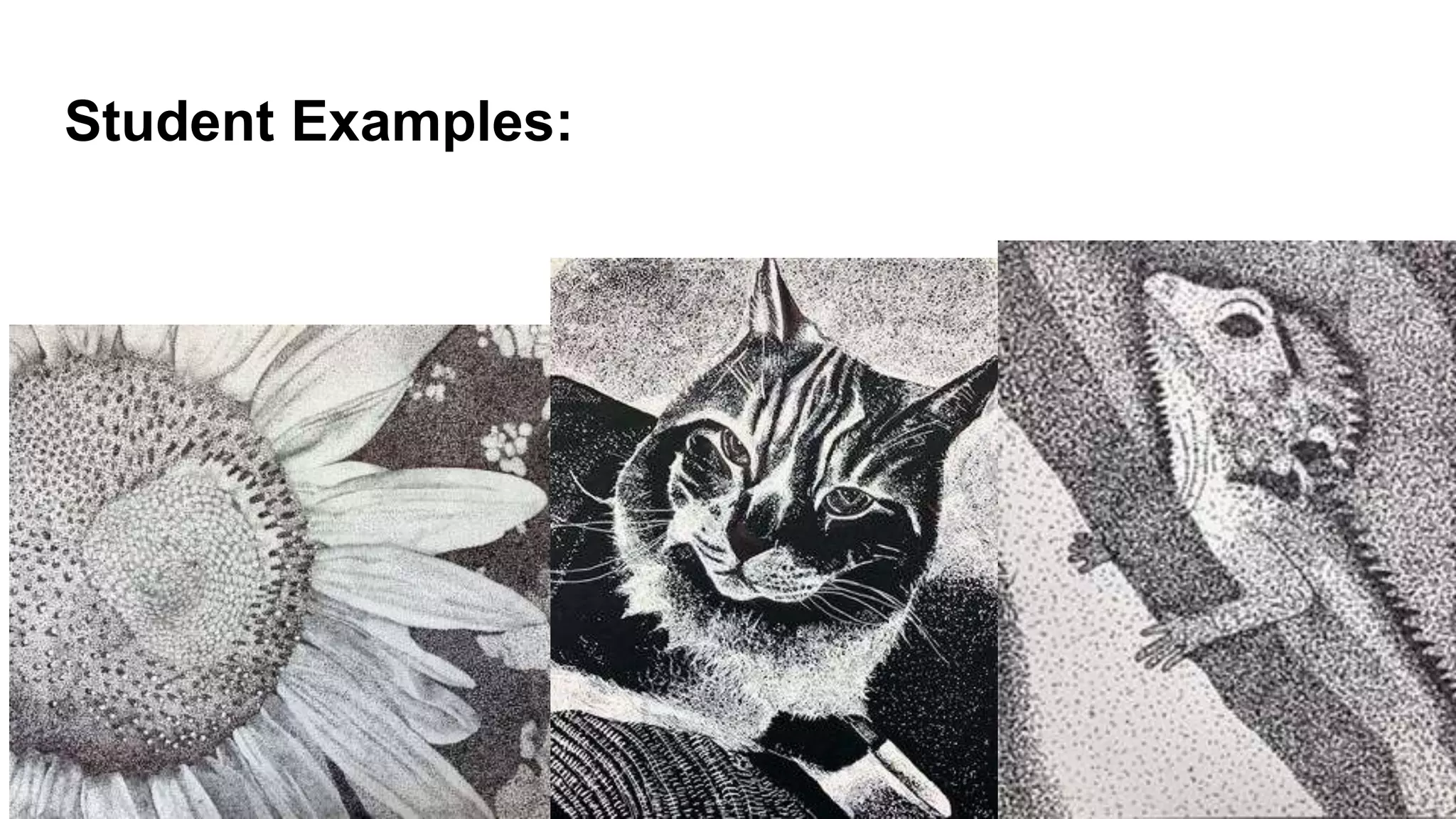 Sharpie Stippling Drawing.pptx