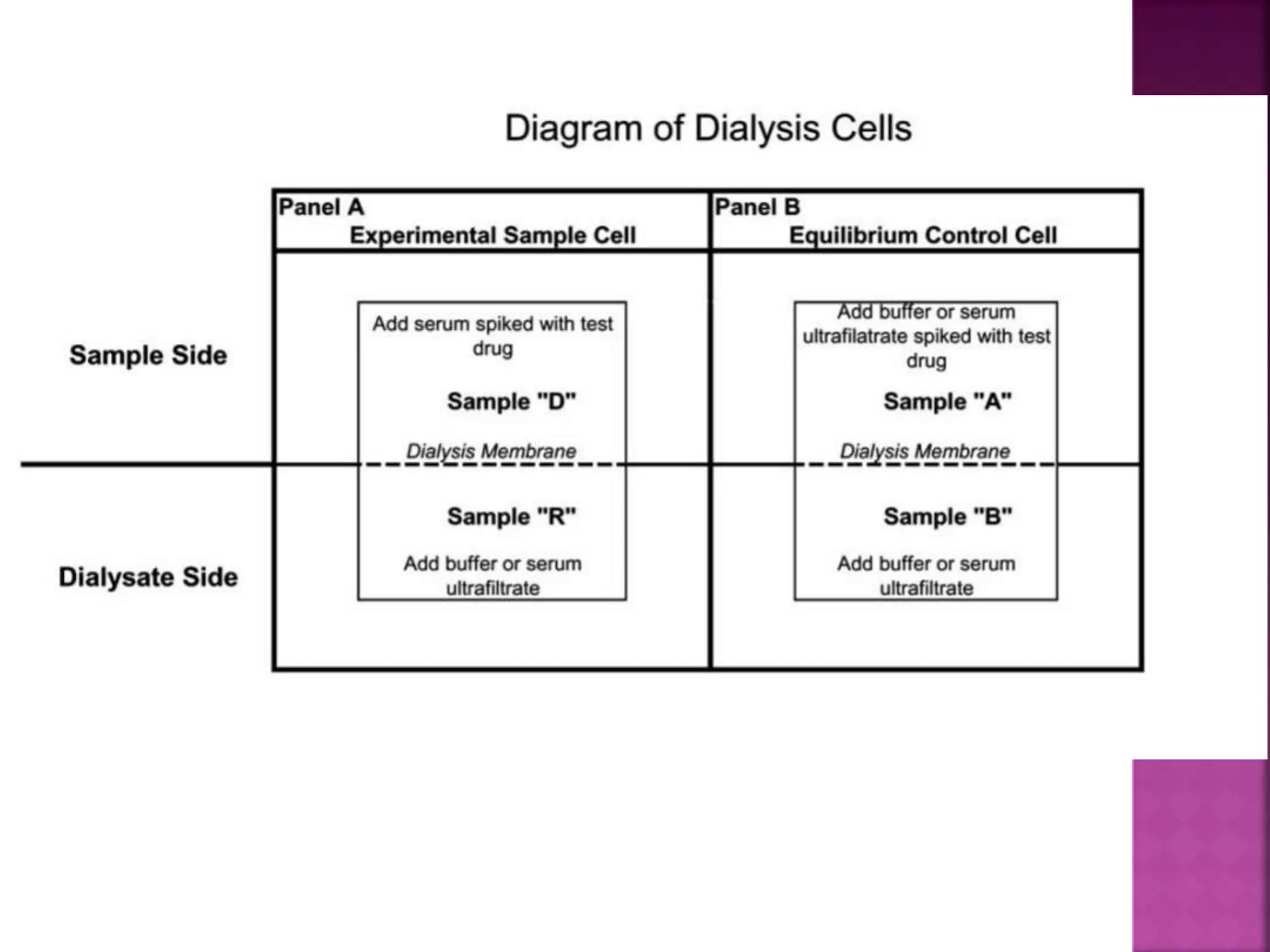 PLASMA / SERUM PROTEIN BINDING BY EQUILIBRIUM DIALYSIS TECHNIQUE | PPTX
