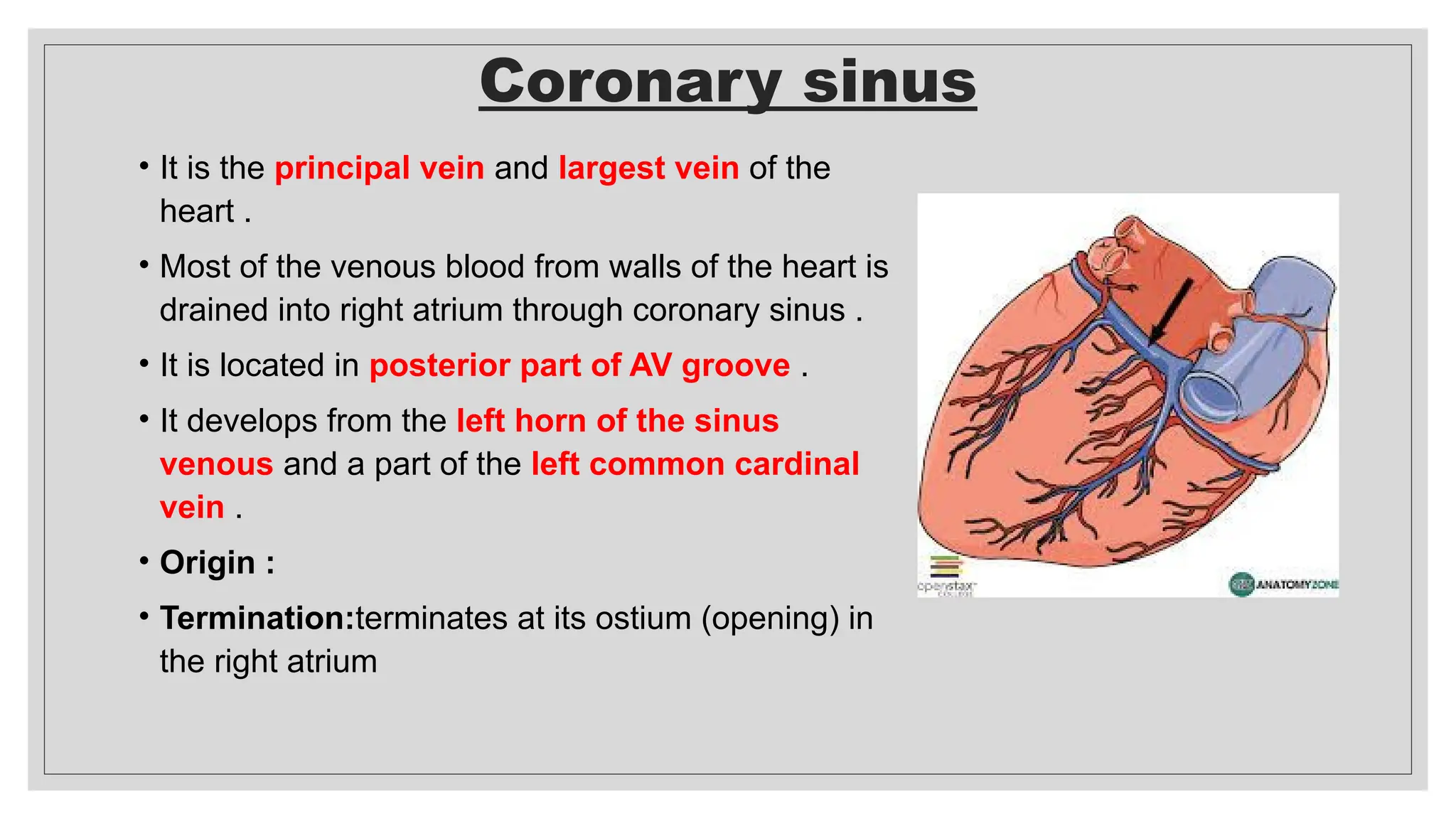 Anatomg Venous drainage of heart.pptx?.. | PPTX