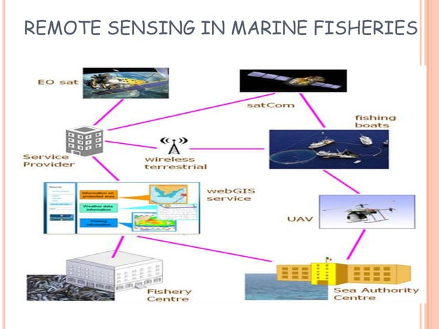 REMOTE SENSING IN MARINE CAPTURING FISHERIES