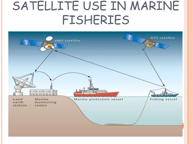 REMOTE SENSING IN MARINE CAPTURING FISHERIES