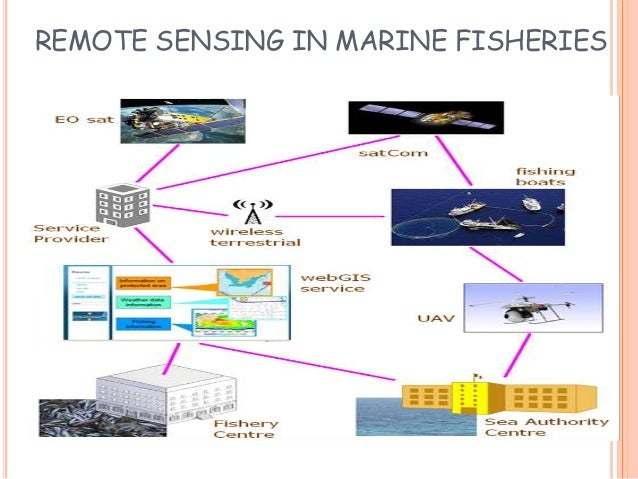 REMOTE SENSING IN MARINE CAPTURING FISHERIES REMOTE SENSING IN MARINE CAPTURING FISHERIES