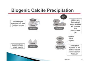 Shashank B S_Charusat.pdf