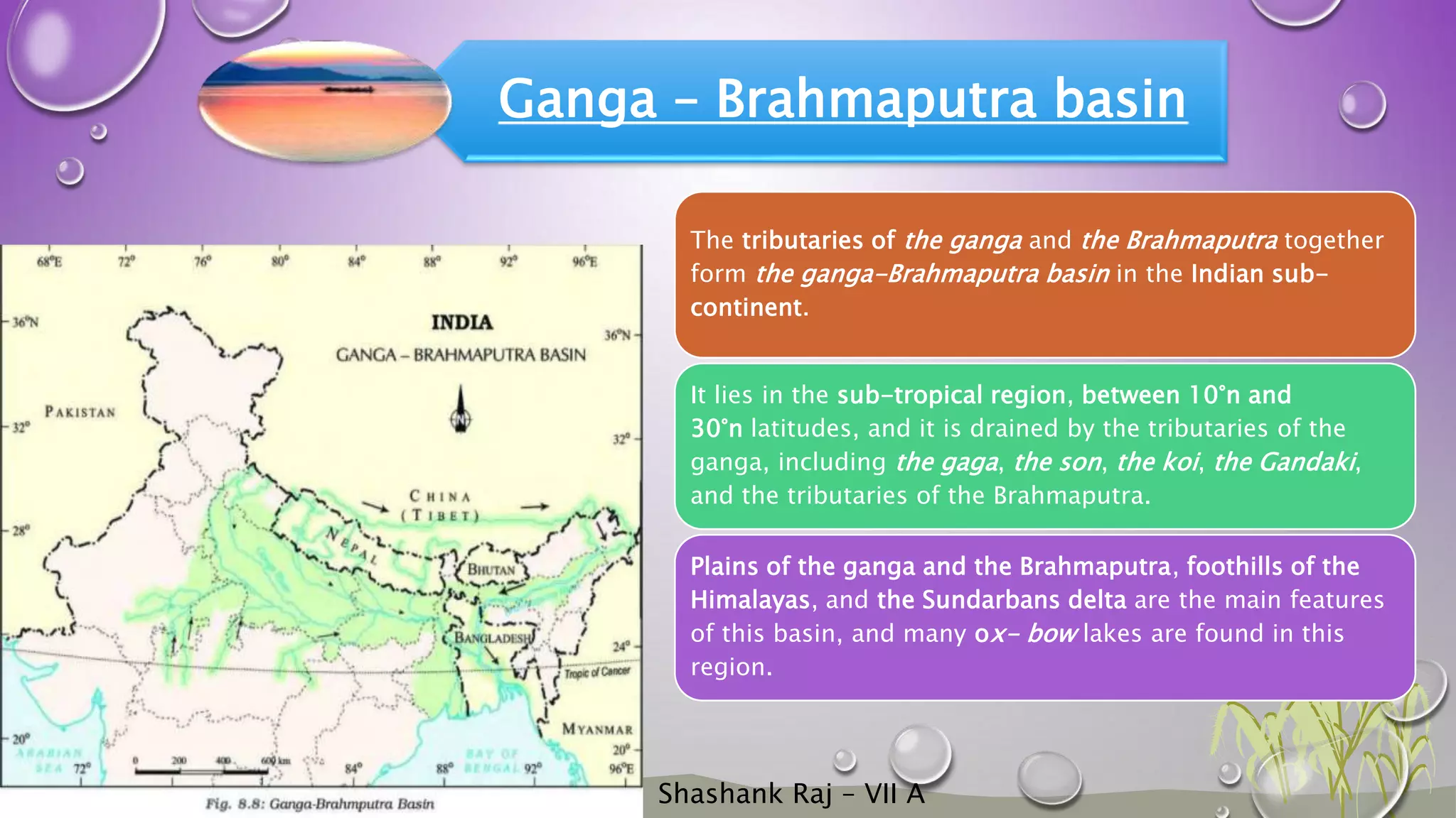 Tropical and subtropical regions | PPTX