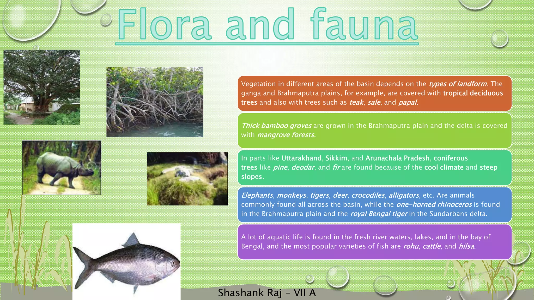 Tropical and subtropical regions | PPTX