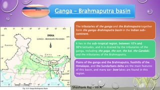 Tropical and subtropical regions | PPTX