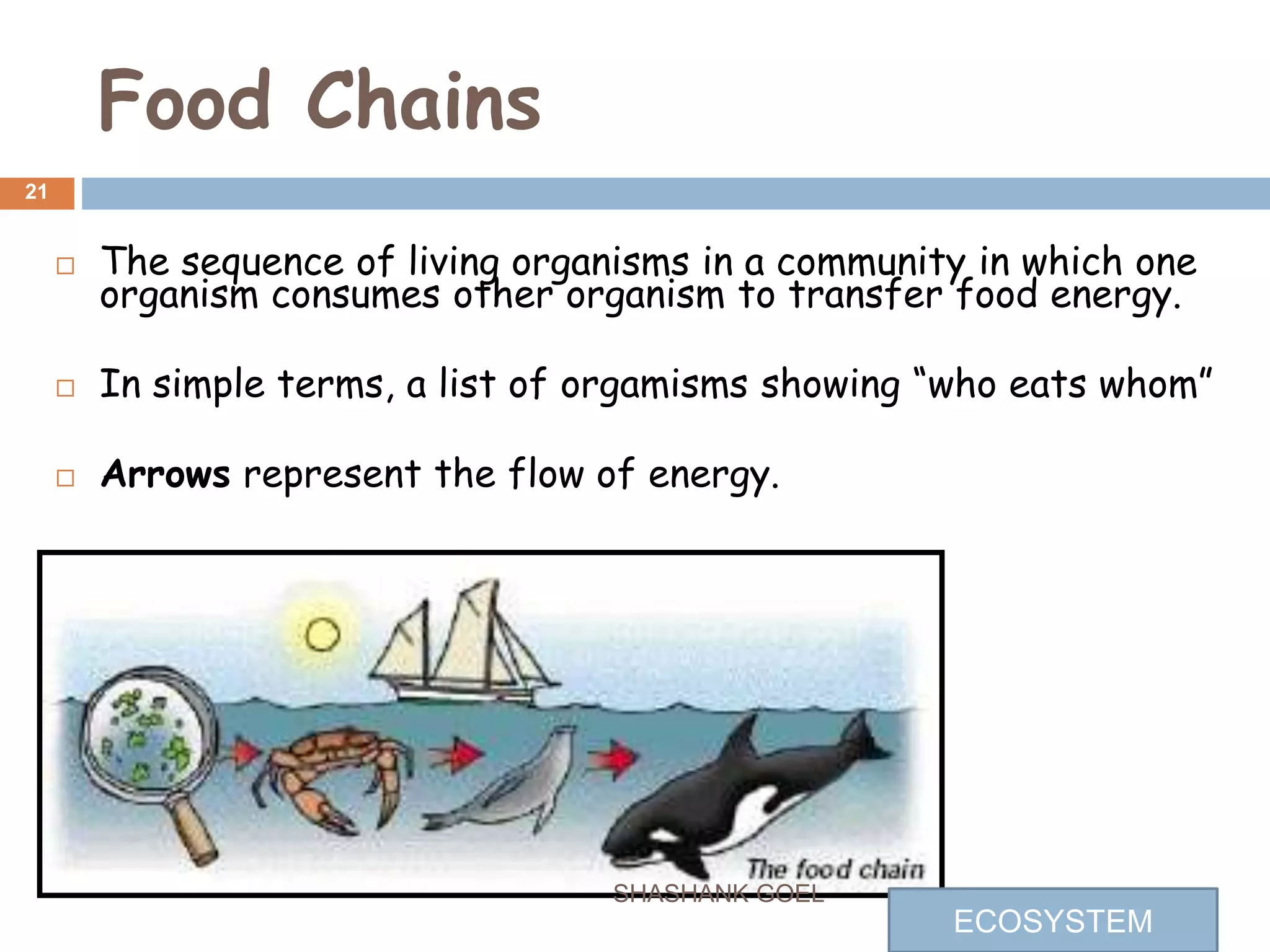 Ppt on ecosystem | PPTX