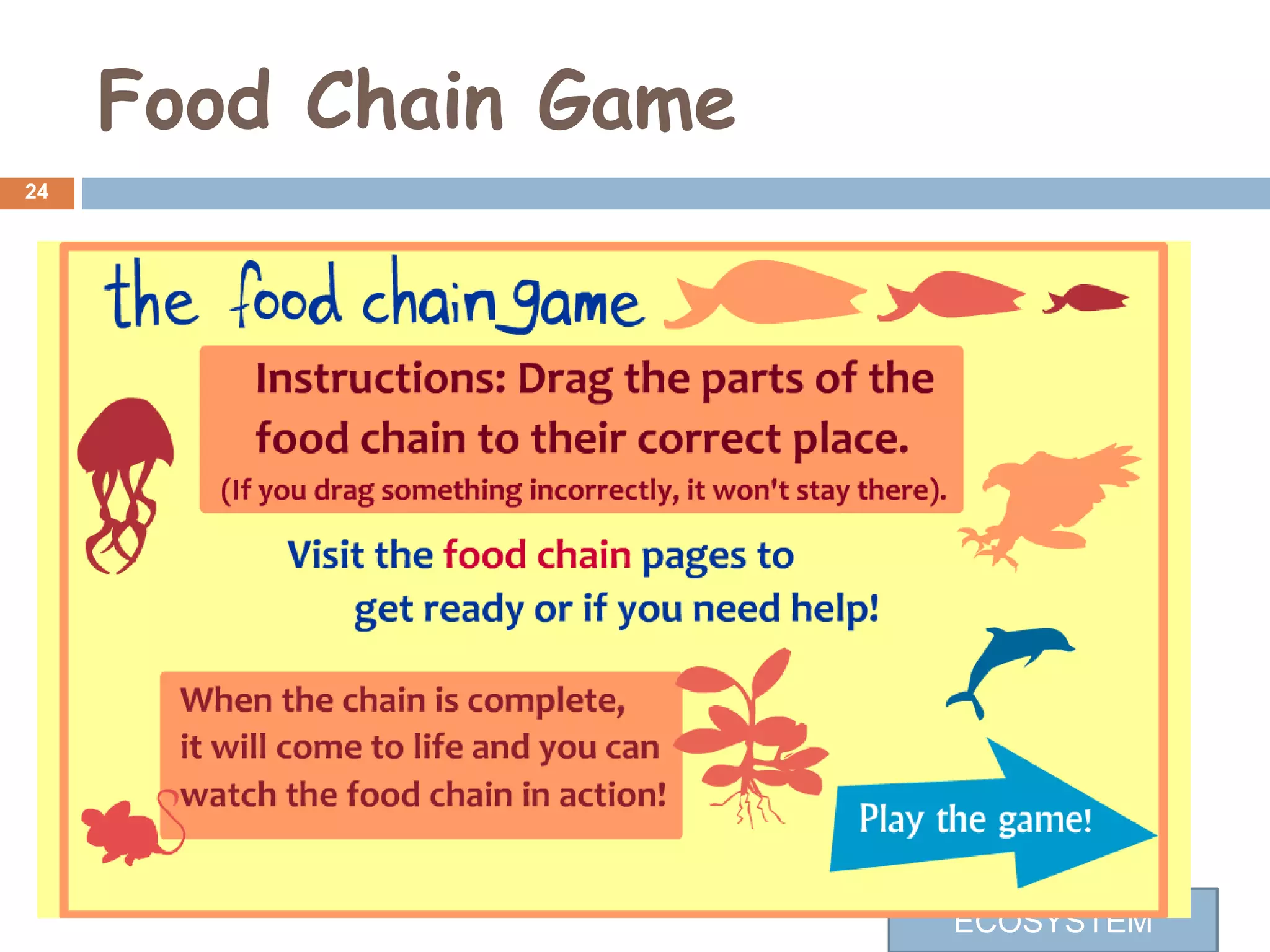 Ppt on ecosystem | PPTX
