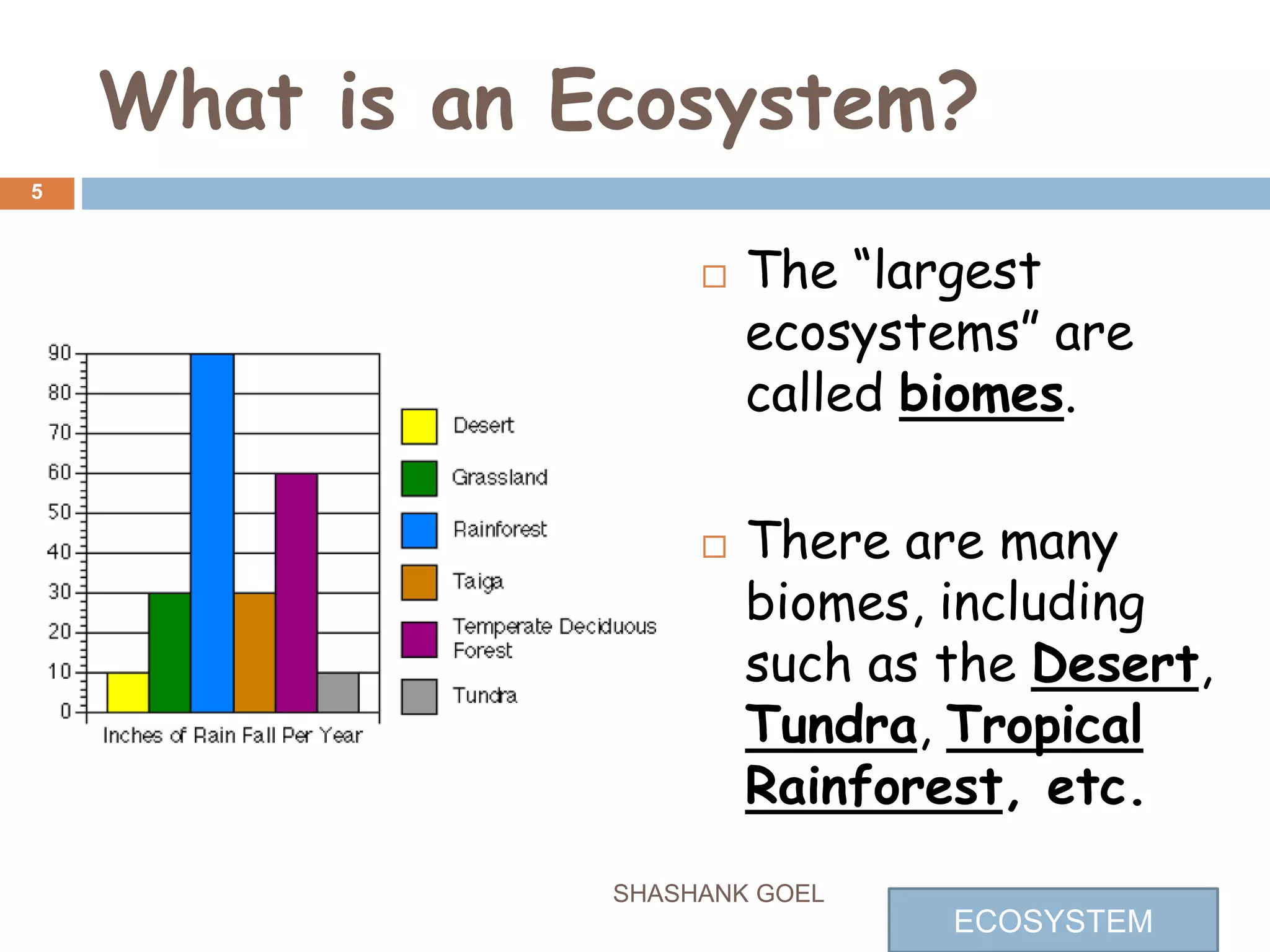Ppt on ecosystem | PPTX
