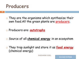 Ppt on ecosystem | PPTX