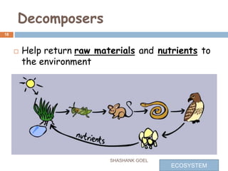 Ppt on ecosystem | PPTX