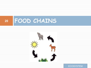 Ppt on ecosystem | PPTX