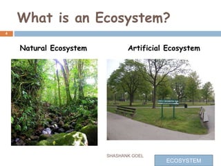Ppt on ecosystem | PPTX