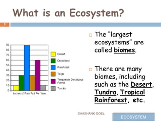 Ppt on ecosystem | PPTX