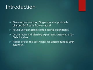 M13 and Mu Virus Structure and Life Cycle | PPTX