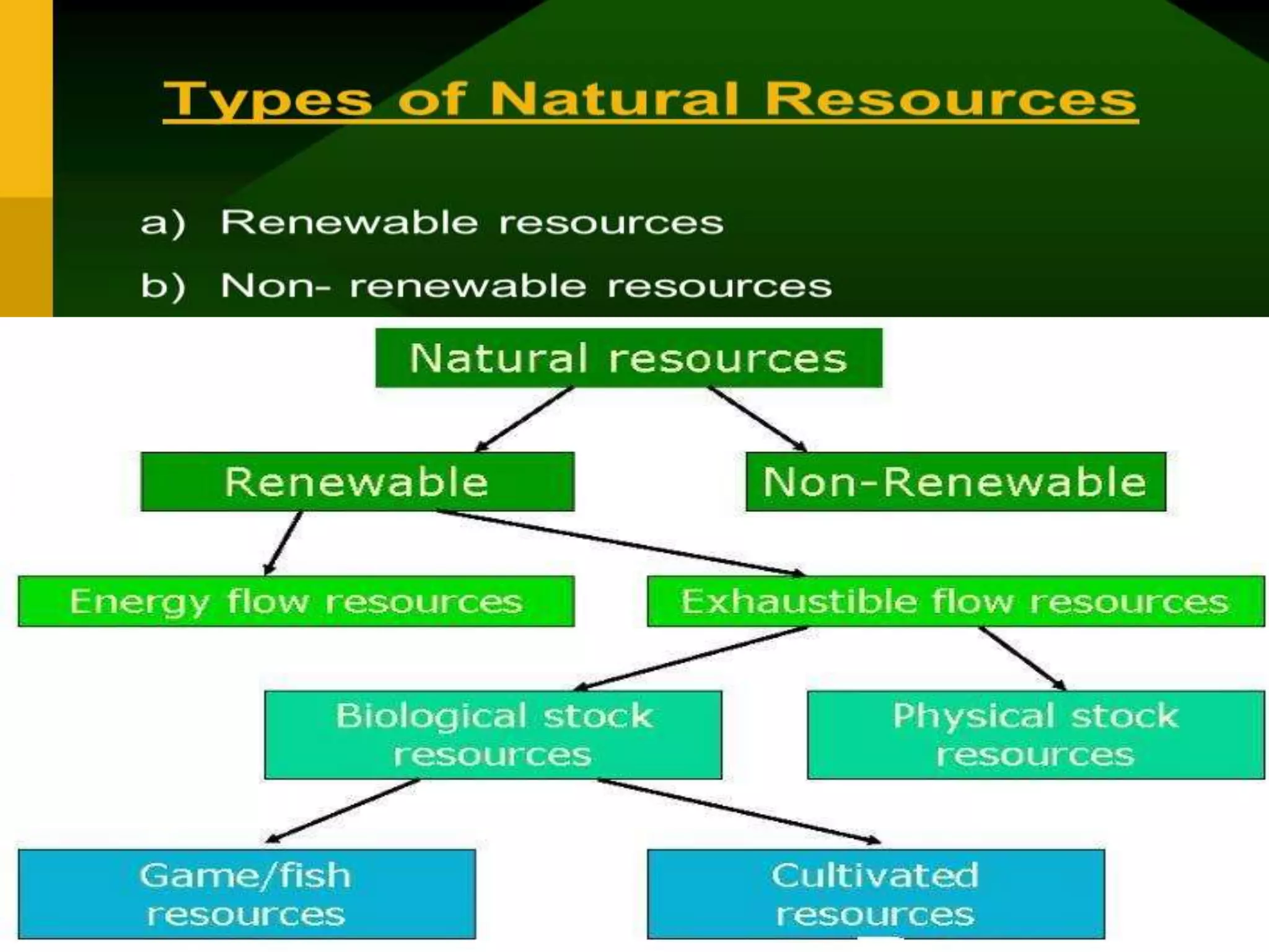 Lesson Plan on Natural Resources (SOCIAL STUDIES).pptx