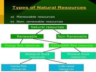 Lesson Plan on Natural Resources (SOCIAL STUDIES).pptx