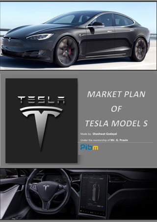 Market Plan of Tesla Model S | PDF | Automotive Industry | Industries