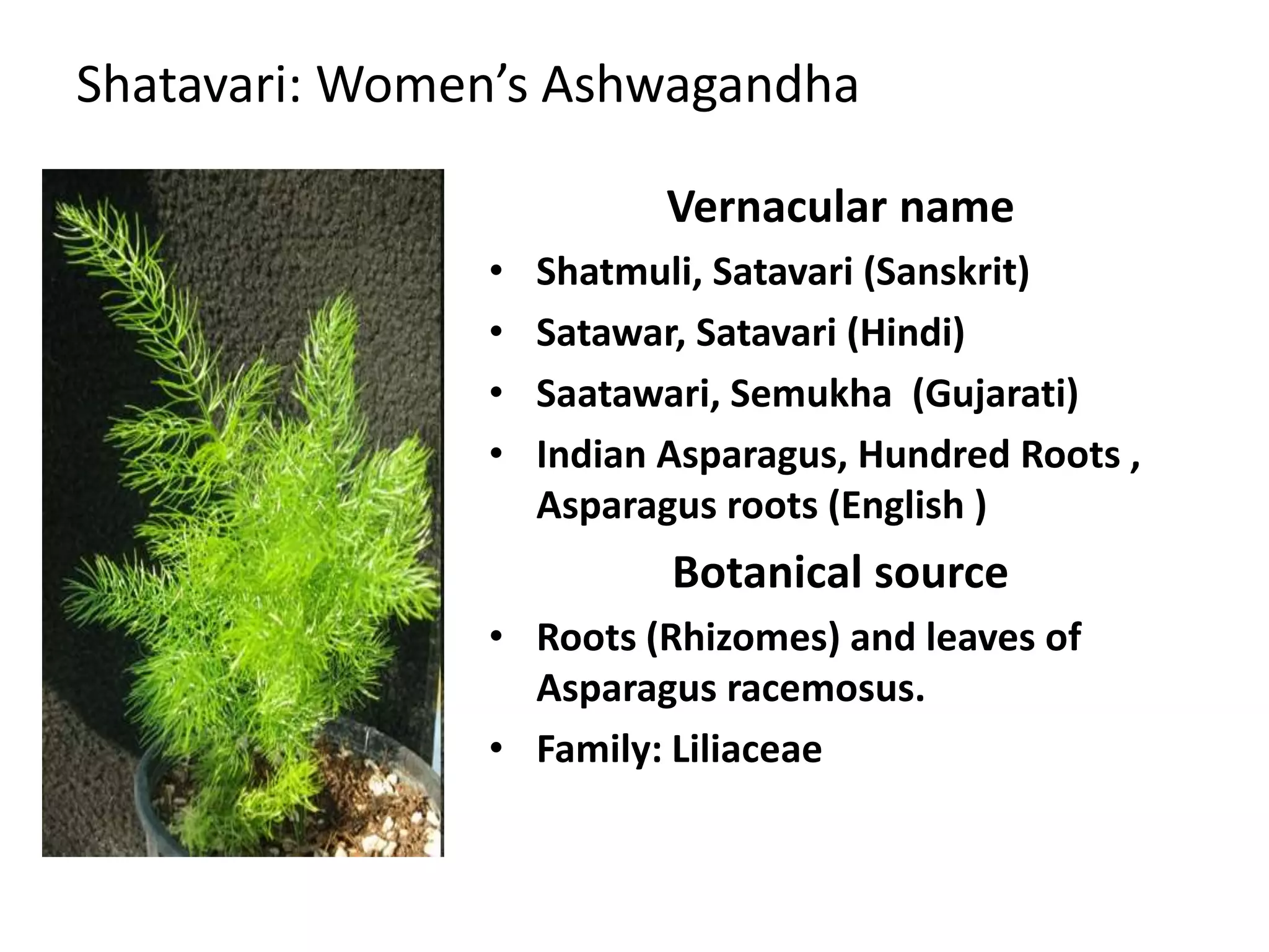 shatavari.ppt