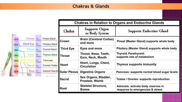 Shat chakras | PDF