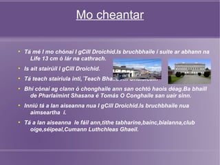 Shaunas irish presentation 1 | PPT