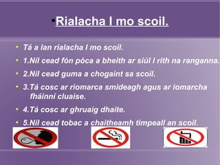 Shaunas irish presentation 1 | ODP