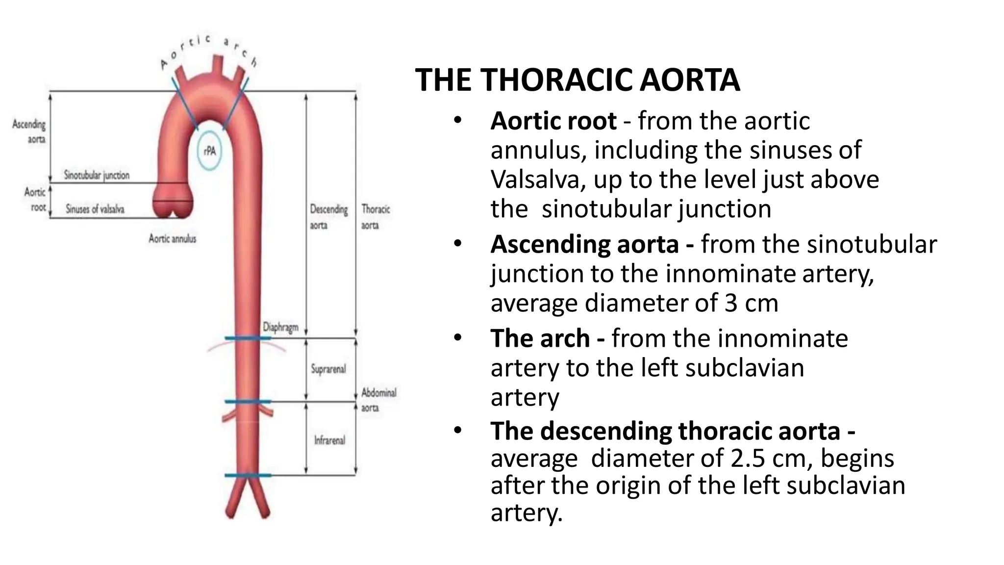 AORTIC DISSECTION & AORTIC RELATED SYNDROMES 2.pdf