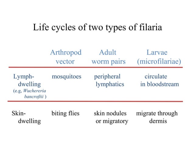 HELMINTHIASIS HELMINTHIC INFECTION | PPT